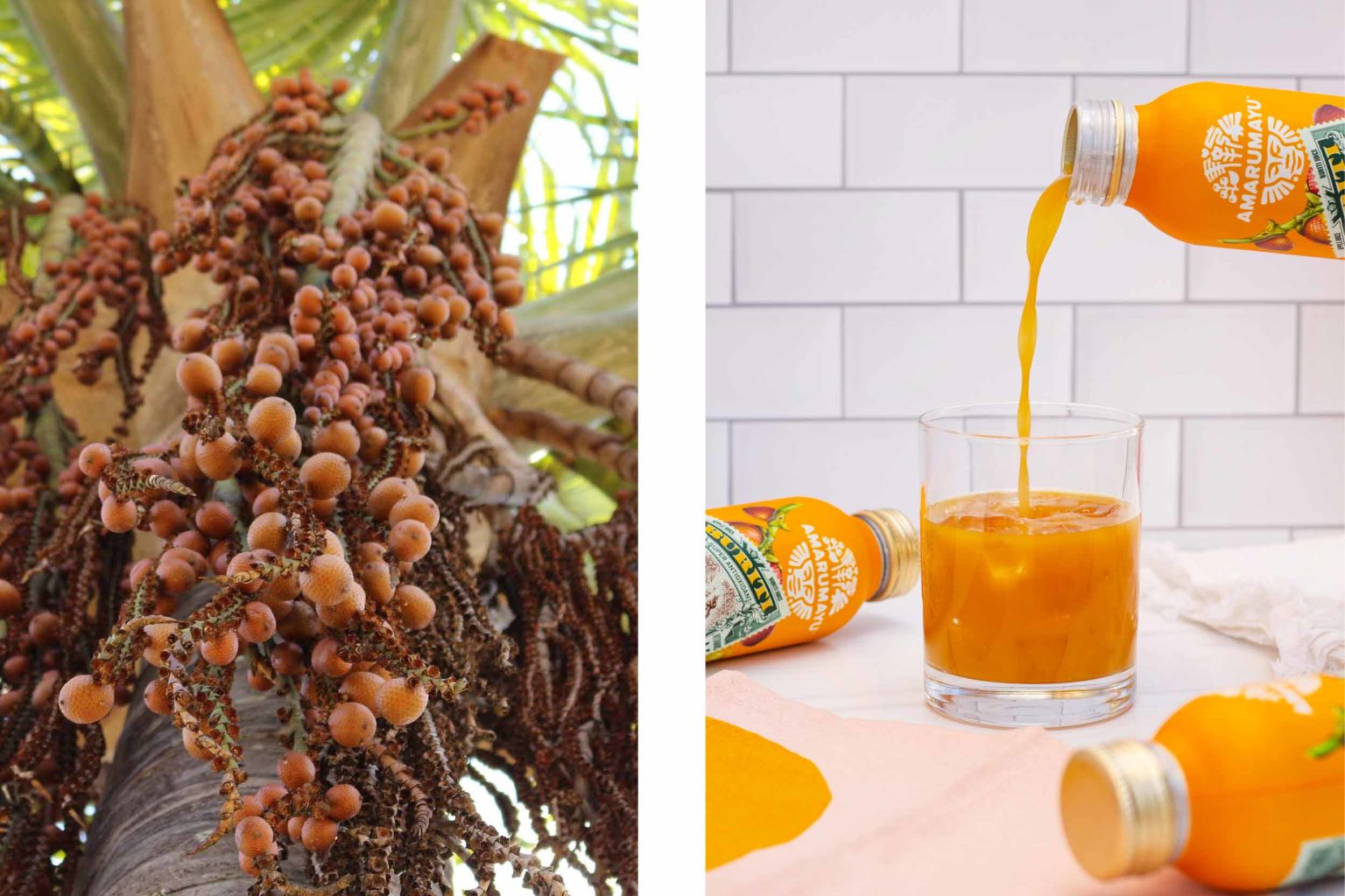 What is Buriti, and is it Healthy? - Amayu