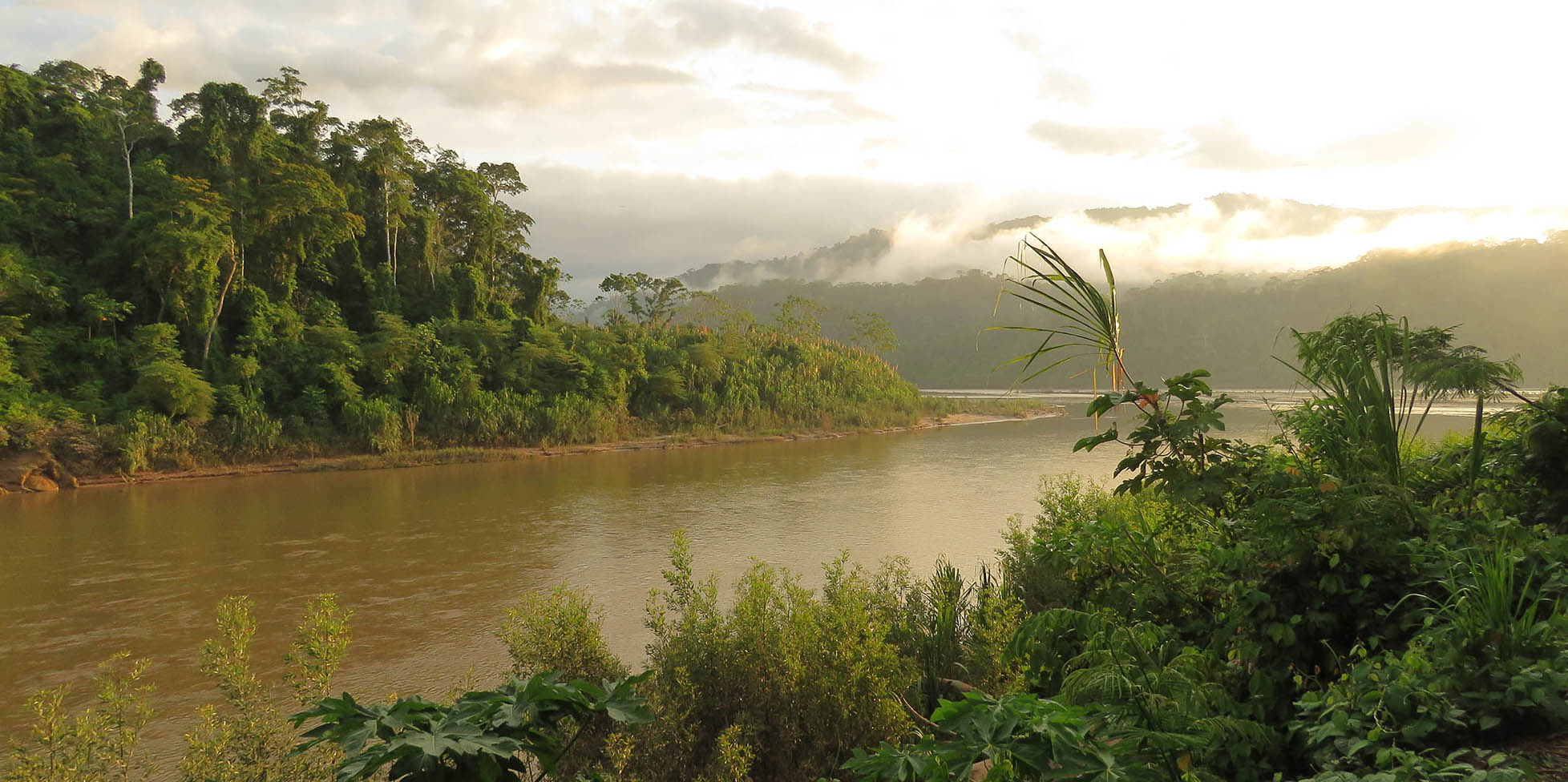 What is Happening in the Amazon, and What Can We Do About It? - AMAYU