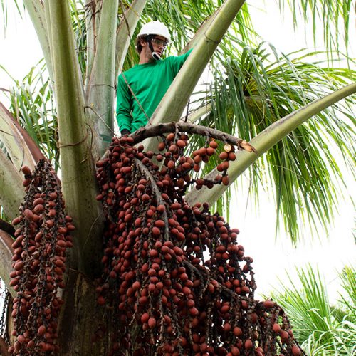 AMAYU - Welcome to the AMAYU Movement