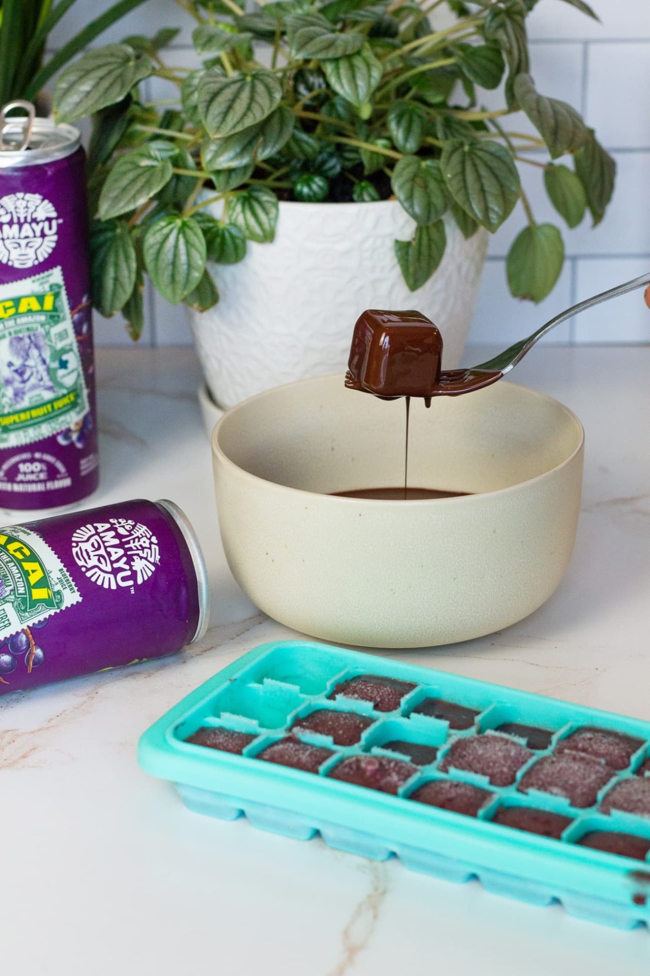 Chocolate Covered Açaí Bites - Amayu